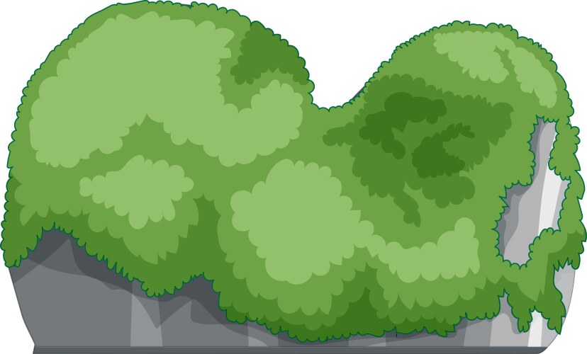 Shrubbery Vector Images (over 1,300)