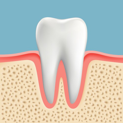 Caries Vector Images (over 20,000)