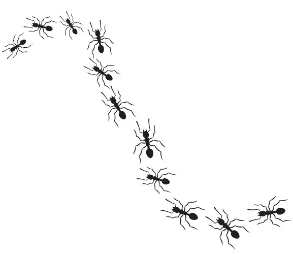 Smiling Ants Royalty Free Vector Image Vectorstock