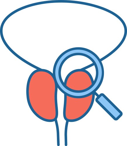 Prostate Cartoon Vector Images (over 440)