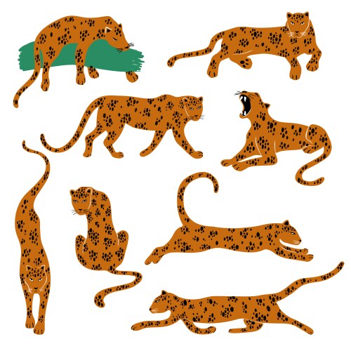 Leopard african animals with tropical leaves set Vector Image