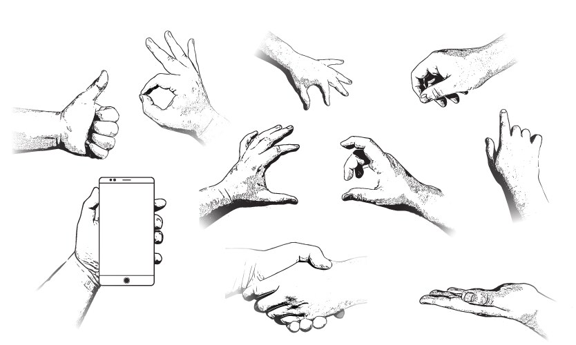 Different hands and legs of human Royalty Free Vector Image