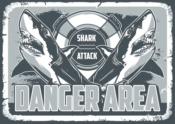 Shark Eyes Vector Images (over 620)