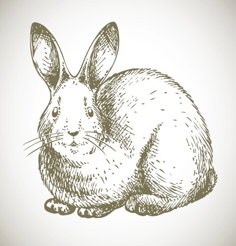 Bunny Vector Images (over 150,000)