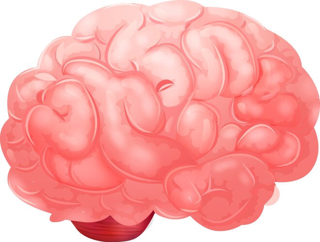 Human brain cartoon isolated Royalty Free Vector Image