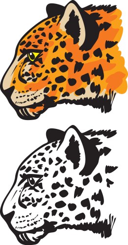Leopard mascot set Royalty Free Vector Image - VectorStock