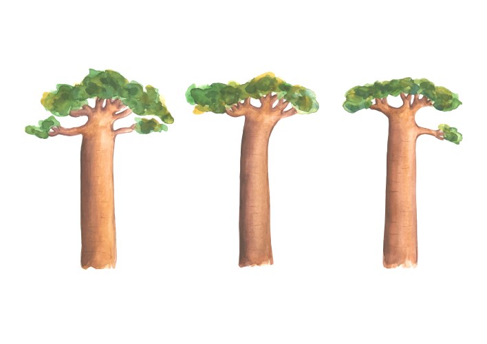 Baobab Tree Vector Images Over 2 100