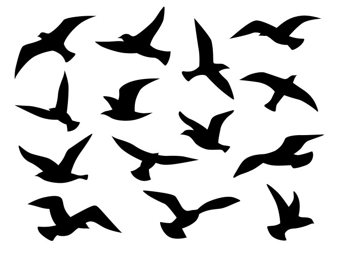 Bird Flying Outline Drawing Vector Images (over 19,000)
