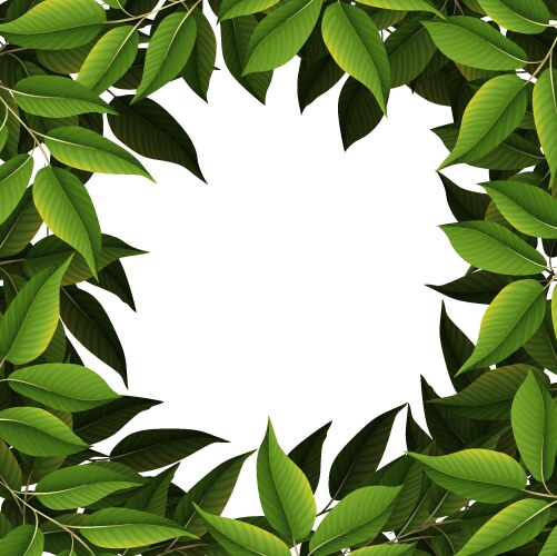 A nature leaf border Royalty Free Vector Image