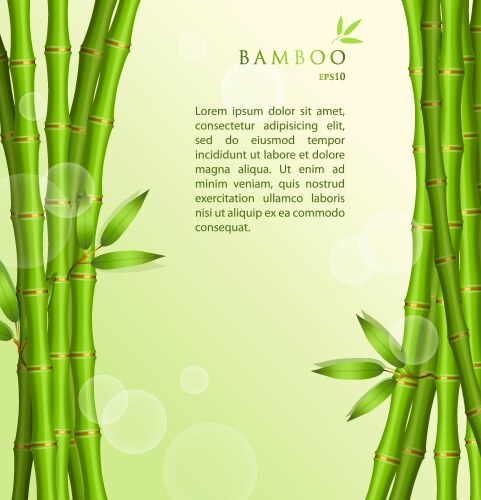 Background bamboo Royalty Free Vector Image - VectorStock