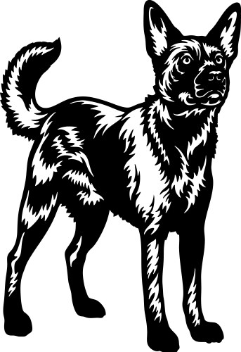 Kelpie Dog Vector Images (over 180)