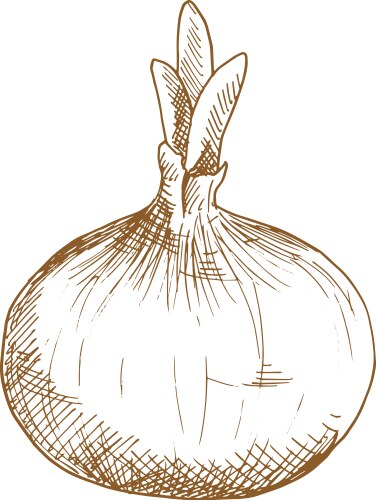 Cute onion vegetable cartoon Royalty Free Vector Image