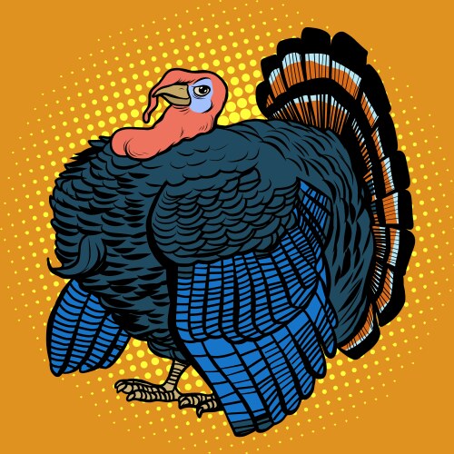 Poultry Vector Images (over 65,000)
