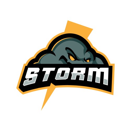 Storm Team Logo