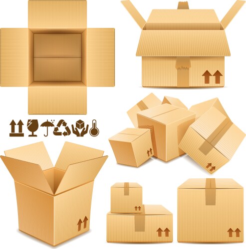 Cute pig in cardboard box Royalty Free Vector Image