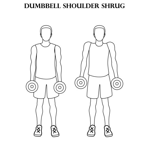 Shoulder Shrug Vector Images (over 2,000)