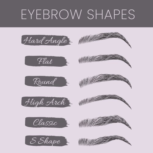 Eyebrow shapes types with gold Royalty Free Vector Image