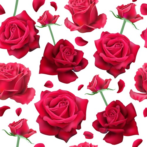 Roses flowers set Royalty Free Vector Image - VectorStock