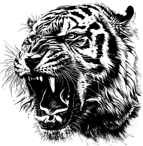 Roaring Tiger Vector Images (over 9,500)