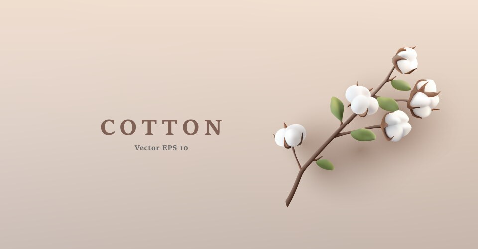 Cotton Stem Vector Images (over 630)
