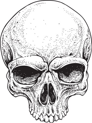 Skull drawing line work Royalty Free Vector Image