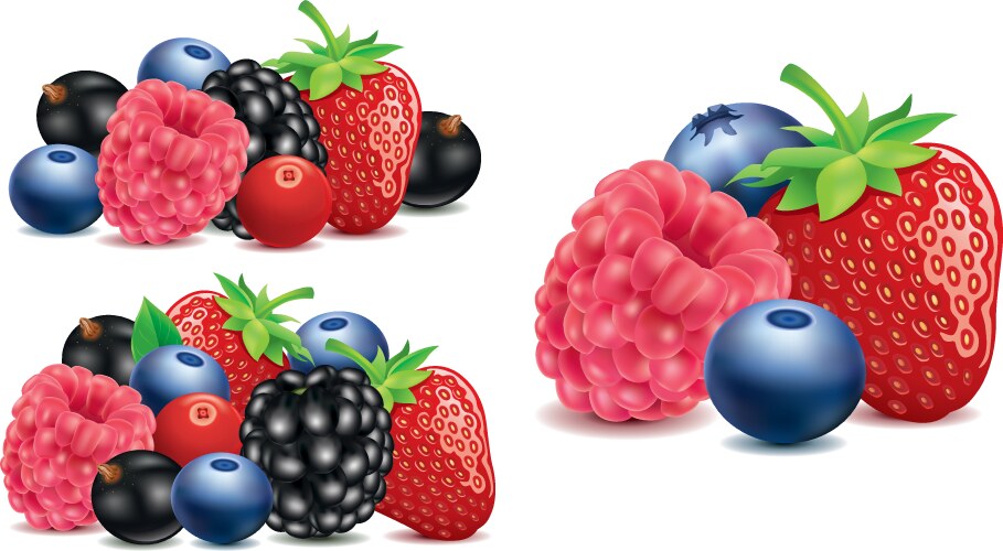 Raspberry and strawberry Royalty Free Vector Image