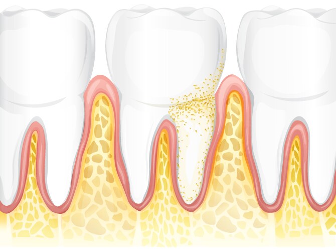 Teeth Vector Images (over 140,000)