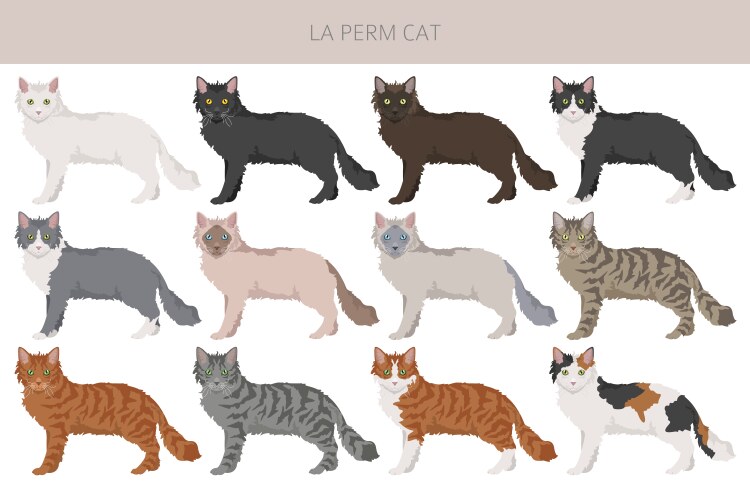 La Vida Vector Images (4)