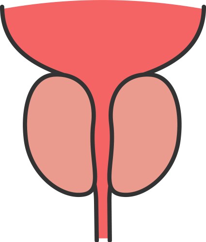 Prostate Cartoon Vector Images (over 520)