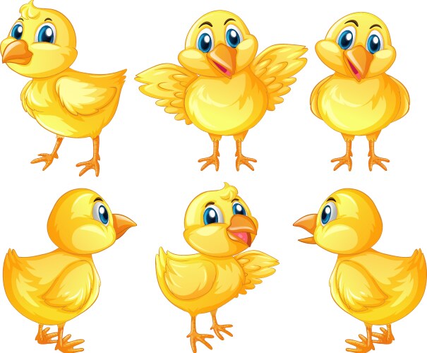 Cute yellow chick in small nature scene Royalty Free Vector