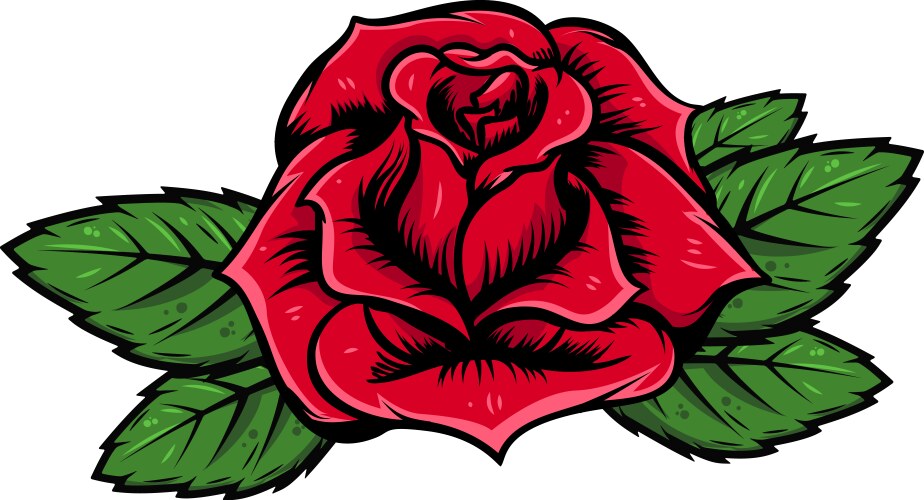 Red rose on white background Royalty Free Vector Image