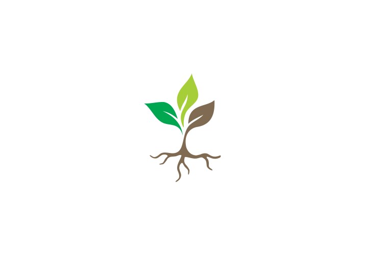 Roots Logo Vector Images (over 21,000)