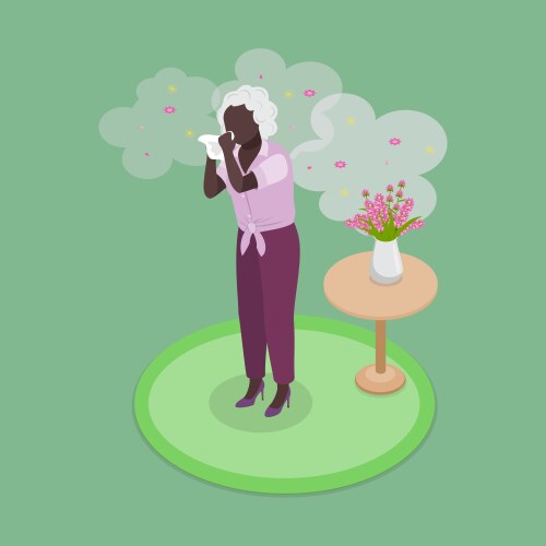 3d isometric flat conceptual Royalty Free Vector Image