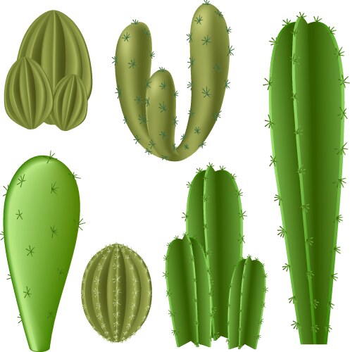Cactus Vector Images (over 97,000)