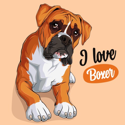 Boxer Dog Cartoon Vector Images (over 1,500)