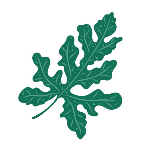 Watermelon plant leaves flat Royalty Free Vector Image