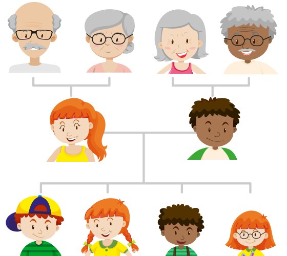 Diagram showing three generation family tree Vector Image
