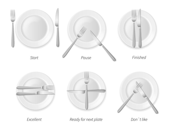 Table etiquette Royalty Free Vector Image - VectorStock