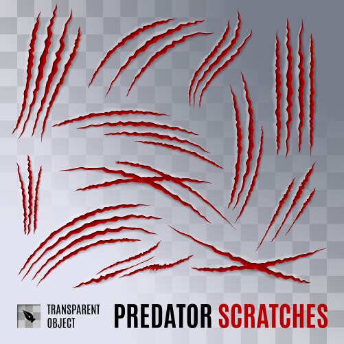 Claw Marks Vector Images (over 3,000)
