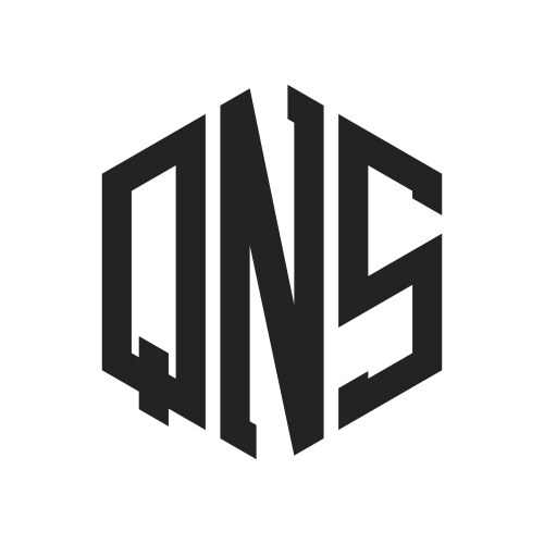 Modern qns logo design letter qns minimalist Vector Image