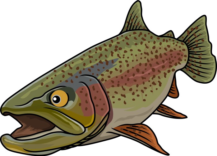 Trout Vector Images (over 13,000)