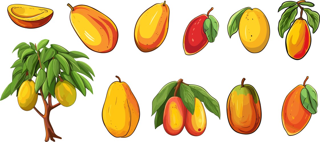 Mango Clipart Vector Images (over 690)