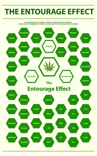 Entourage Vector Images (over 680)