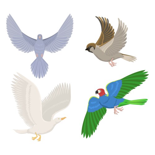 Six different species of birds Royalty Free Vector Image