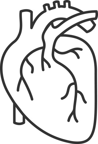 Simple Human Heart Outline Human Heart Illustration | Design Bundles