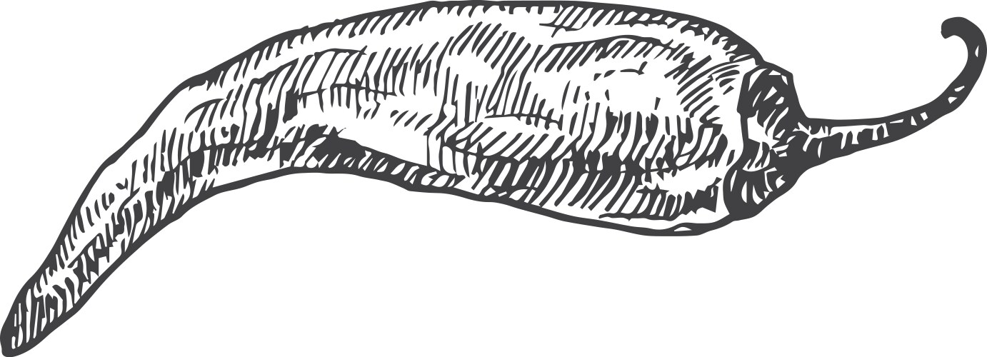 Chilli Sketch Vector Images (over 1,800)