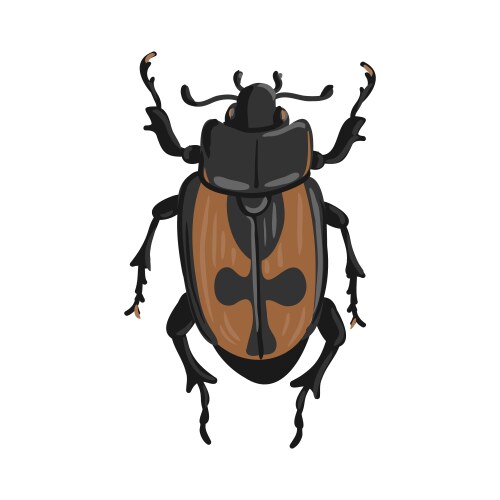 Bug Drawing Vector Images (over 35,000)