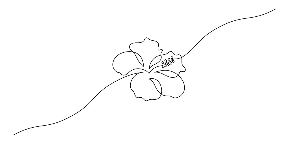 Hibiscus Outline Vector Images (over 4,800)