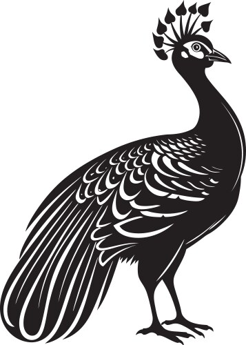 Royal splendor peacock black logo design icon Vector Image