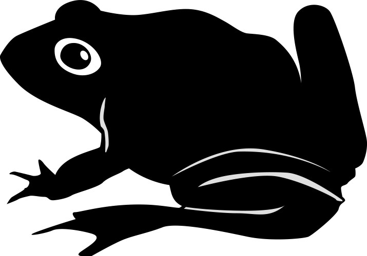 Cane Toad Vector Images (65)
